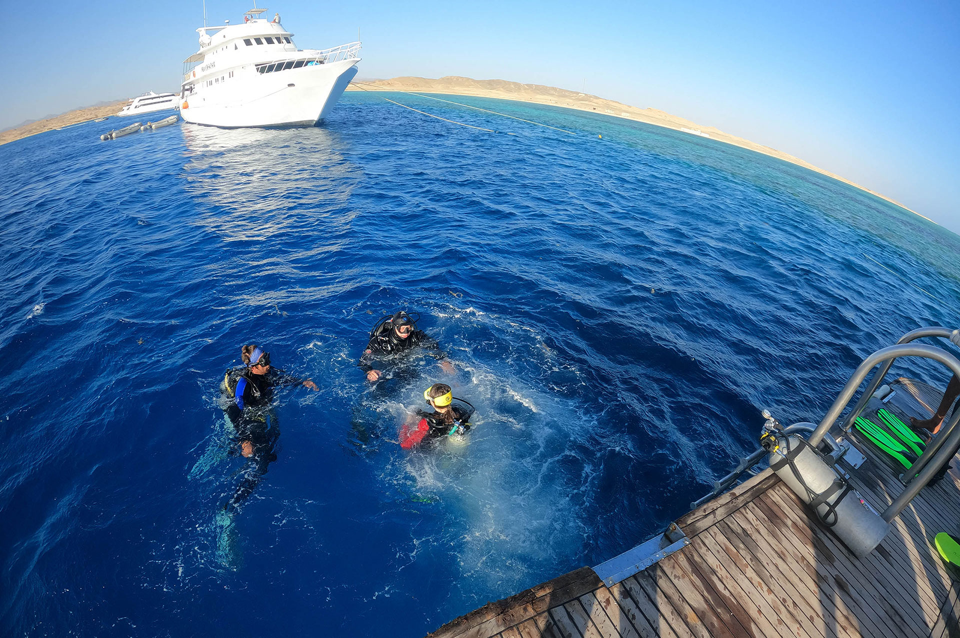 Программы обучения - DIVE CLUB CHE